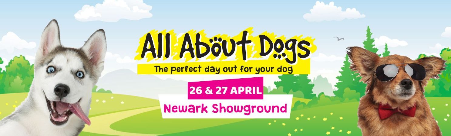 All About Dogs Show | Newark Showground