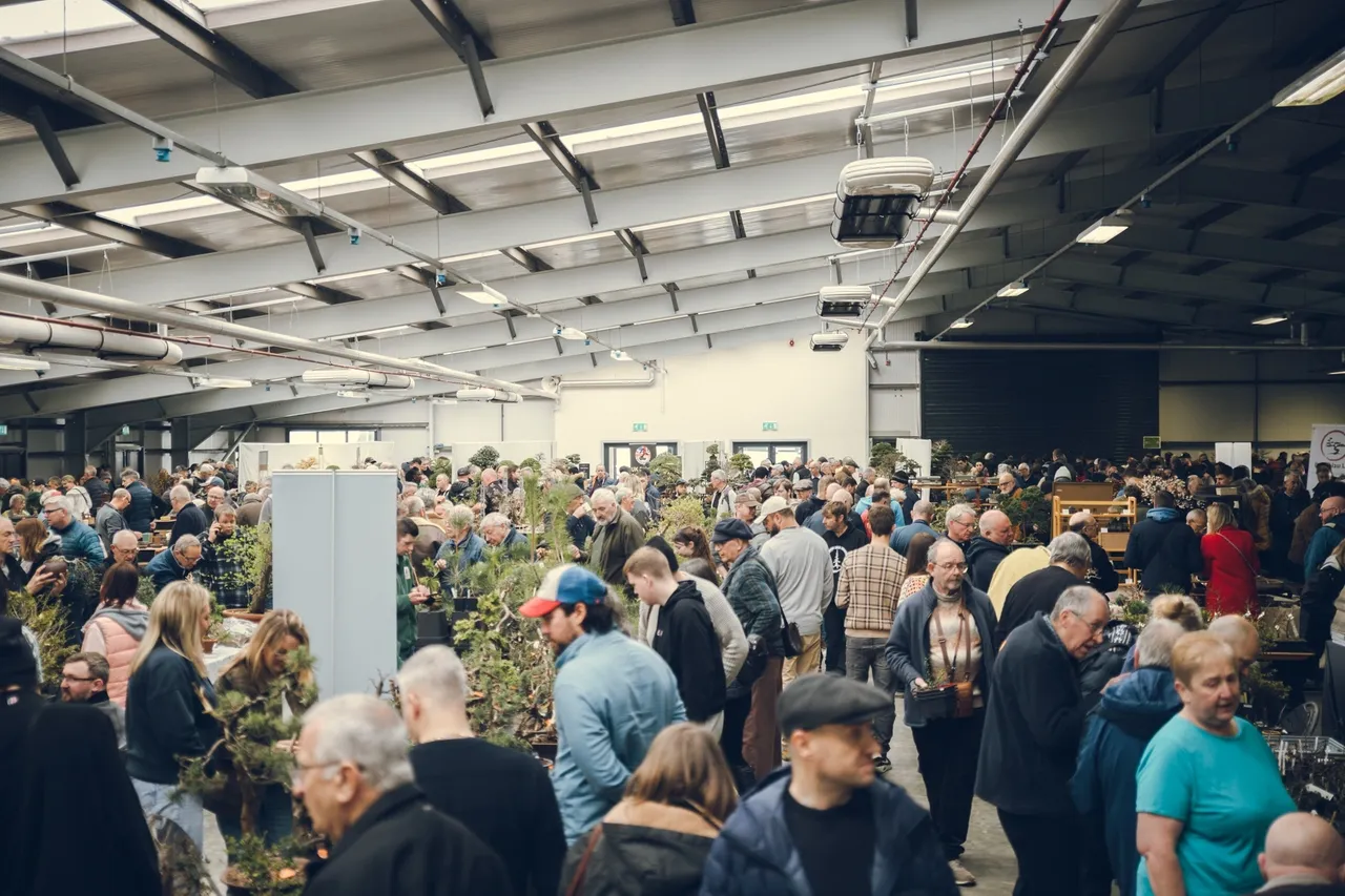 BonsaiFest 2026 Moves to George Stephenson Exhibition Hall at Newark ...